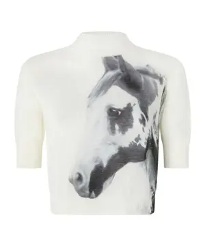Pinko Horse-print Knit Top