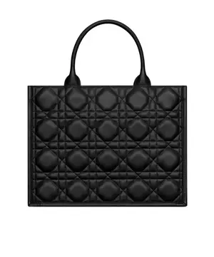 Dior Medium Book Tote - Black