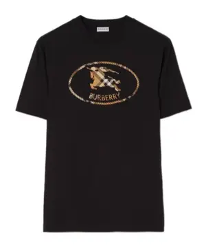 Men's Round Neck Cotton T-Shirts