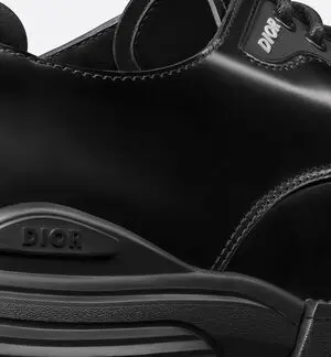 Dior Lace-up Low Top Sneakers