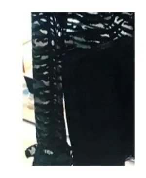 Saint Laurent Zebra Print Sheer Mini Dress
