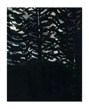 Saint Laurent Zebra Print Sheer Mini Dress