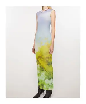 Acne Studios Sleeveless Maxi Dress With Fuzzy Landscape Print