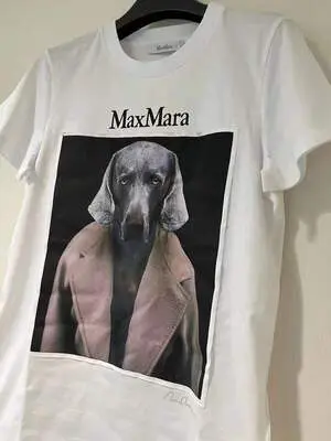 Max Mara Cipria Graphic Printed Crewneck T-shirt - Gray