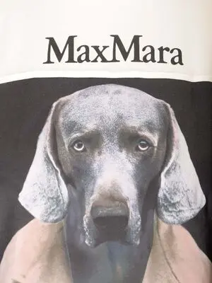 Max Mara Cipria Graphic Printed Crewneck T-shirt