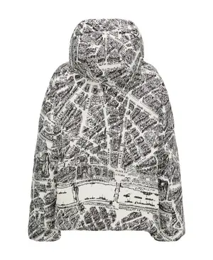 Dior Alps Hooded Down Jacket - Gray