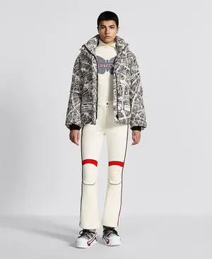 Dior Alps Hooded Down Jacket - Gray