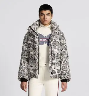 Dior Alps Hooded Down Jacket - Gray
