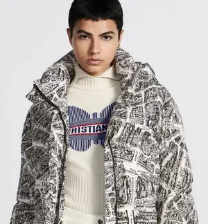 Dior Alps Hooded Down Jacket - Gray