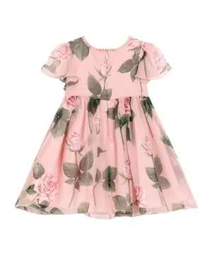 Dolce & Gabbana Rose Print Tulle Dress With Ruffles