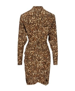 Isabel Marant Étoile Leopard Print Long Sleeve Dress