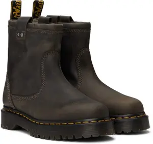 Dr. Martens Anistone Lo Leather Biker Boots