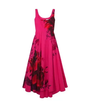 Erdem Sleeveless Printed Midi Dress