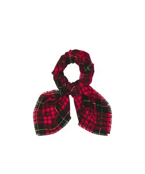 Alexander McQueen Tartan Skull Frayed-edge Scarf