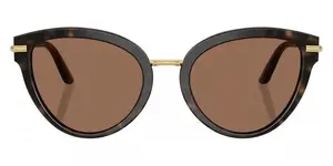 DOLCE & GABBANA Dolce & Gabbana Full Frame Cat Eye Sunglasses