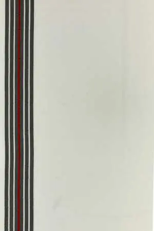 Alexander McQueen Logo Printed Frayed-edge Scarf