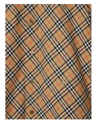 Burberry Check Printed Buttoned Shirt