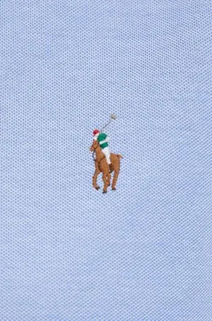 Ralph Lauren Long Sleeve Embroidered Logo Shirt - Blue