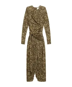 Isabel Marant Étoile Zeidi Leopard Print Long Sleeve Dress