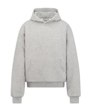Dior Hooded Sweatshirt - Gray