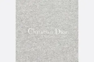 Dior Hooded Sweatshirt