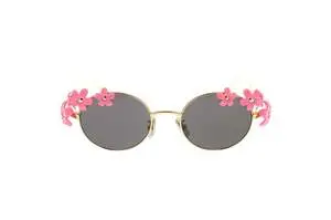 Loewe Daisy Field Oval Frame Sunglasses - Gray