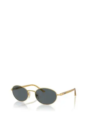 Persol Full Frame Oval Sunglasses