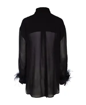 Pinko Semi-sheer Long-sleeved Georgette Shirt With Feather Detail