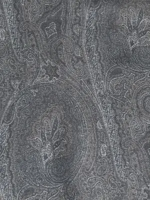 Etro Printed Scarf - Gray