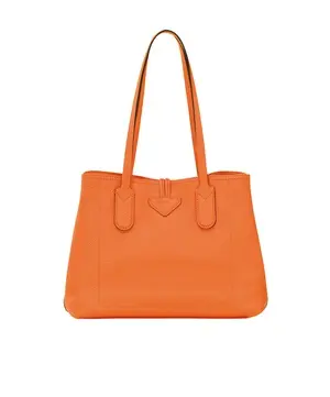 Longchamp Double Handle And One Shoulder Bag