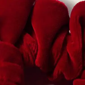 Miu Miu Velvet Scrunchie With Bow Detail - Red
