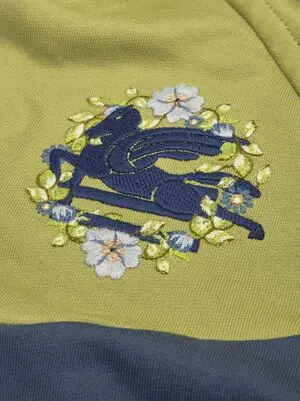 Etro Pegaso Embroidered Two-tone Drawstring Hoodie