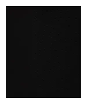 LEMAIRE Twisted Workwear Pants - Black