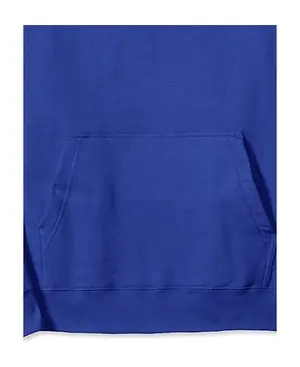 Champion Hooded Sweatshirt