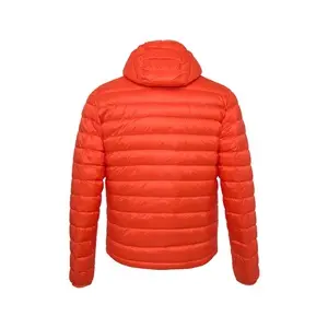 PAUL  SHARK Paul & Shark Logo Down Jacket