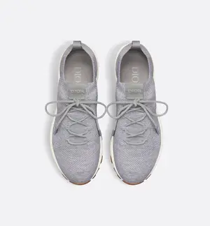 Dior B80 Lounge Sneaker - Gray