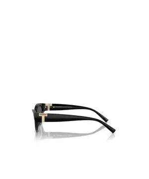 TIFFANY  CO. Tiffany & Co. Cat Eye Frame Sunglasses