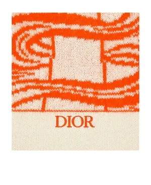 Dior Sweater With Asterodior Pattern