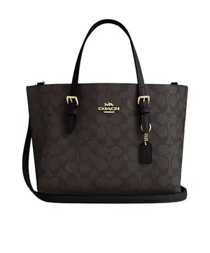 COACH Molly Tote Bag