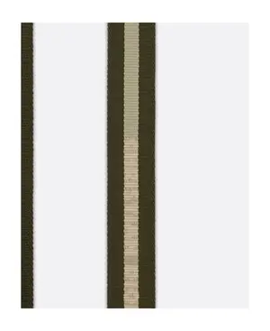 Dior Striped Buckled Belt