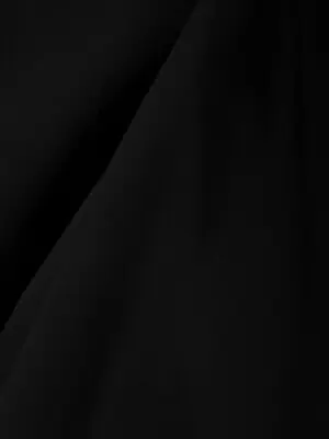Max Mara Okra Pleat Detailed Cropped Trousers - Black