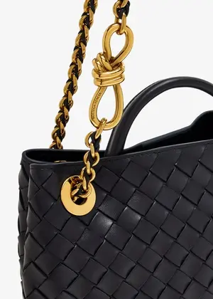 Bottega Veneta Small Andiamo Chain Bag