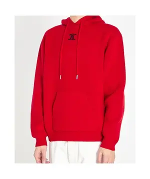 Celine Hooded Sweater In Cashmere