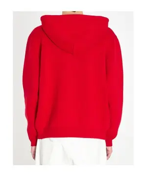 Celine Hooded Sweater In Cashmere