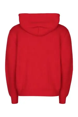 Celine Hooded Sweater In Cashmere