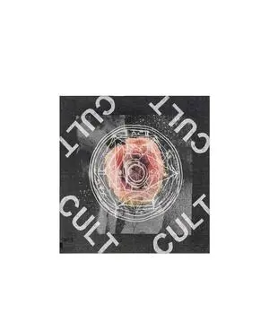 Alexander McQueen Printed Scarf - Black