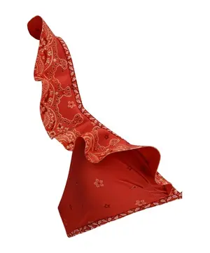 Zimmermann Bandana Printed Lucky Frill Bikini