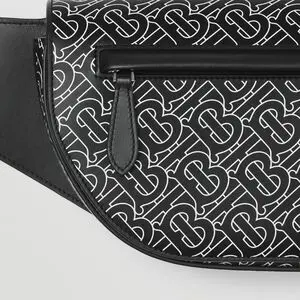 Burberry Olympia Belt Bag