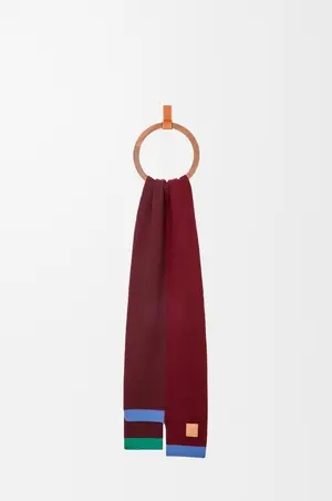 Loewe Colourblock Scarf