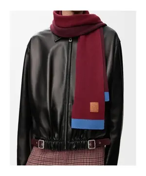 Loewe Colourblock Scarf